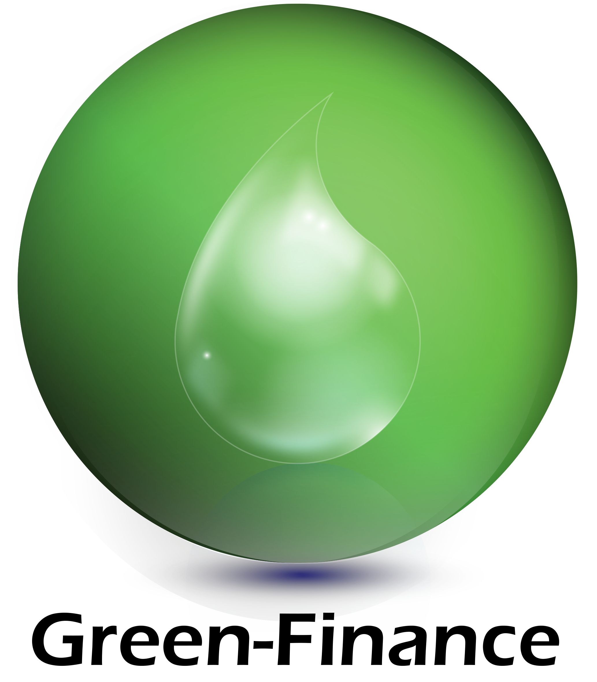 Découvrez en avant première : Introduction à la Finance Verte - Green ...